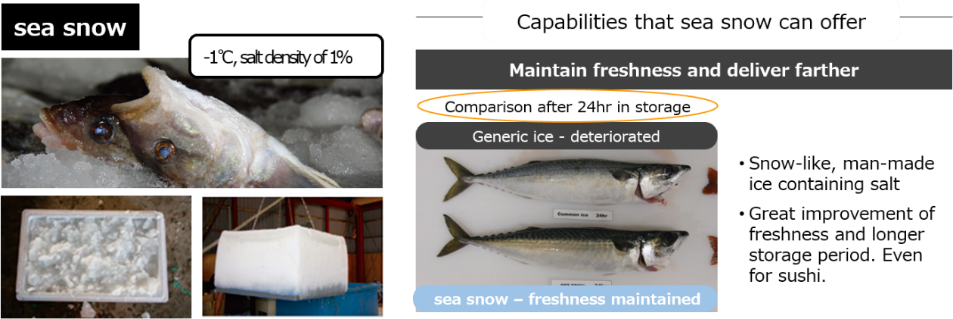 Special Ice Maker from Salty Water for Fish Preservation: "sea snow ...