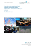 Final Substantive Report | Climate Technology Centre & Network | Tue ...
