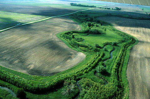 Riparian buffer | Climate Technology Centre & Network